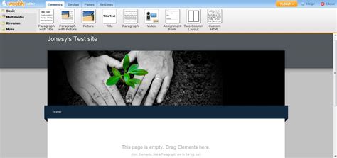 Websites For Dummies Jonesytheteachers N 1