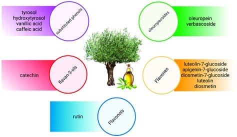 Phenolic Compounds In The Olive Tree Phenolic Compounds In The Olive