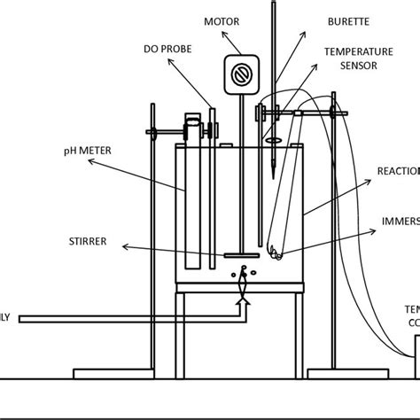 Schematic Diagram Of Experimental Setup Of Three Phase Stirred Slurry Download Scientific