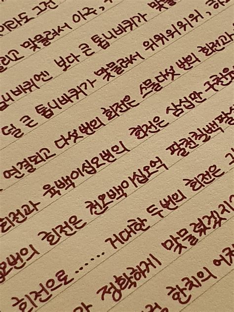 선재 Amsadxxx Twitter