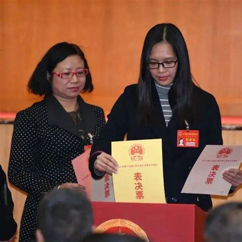 【喜迎二十大 江门这十年】展示新时代侨都人大风采！江门人大深化全过程人民民主“江门实践”立法工作条例