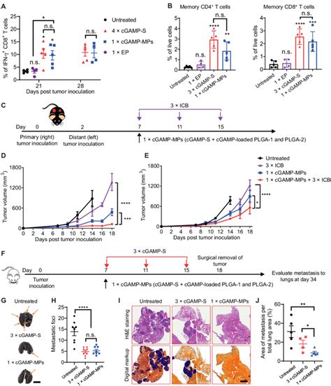 Single Injection Of Cgamp Mps Induced Systemic Antitumor Immunity And