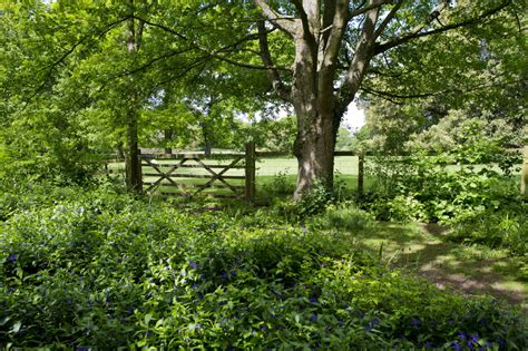 Free Images Landscape Forest Grass Fence Lawn Meadow Leaf