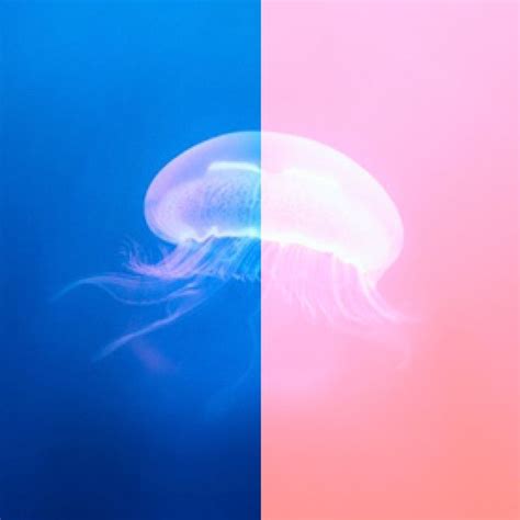 Blending Modes In CSS Color Theory And Practical Application Envato Tuts Web Design Tutorial