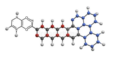 Molecular Model Of The Caffeine Molecule Featuring A Complex