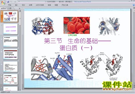 化学选修1优质课13生命的基础 蛋白质ppt课件免费下载课件站