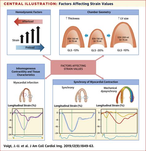 2 And 3 Dimensional Myocardial Strain In Cardiac Health And Disease Jacc Cardiovascular Imaging