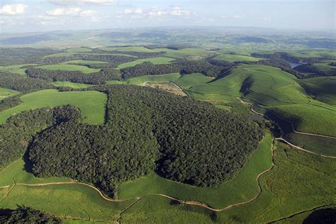 Deforestation In The Tropics Peer 2025