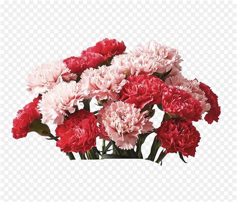 粉红色鲜艳花朵花束PNG图片素材下载 图片编号qbbvbjwx 免抠素材网