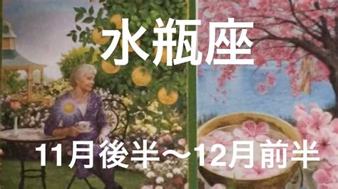 【11月後半〜12月前半 水瓶座】タロットカードリーディング Youtube