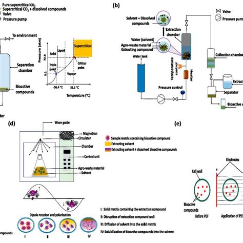 Pdf Innovative Technologies For Extraction And Microencapsulation Of Bioactives From Plant