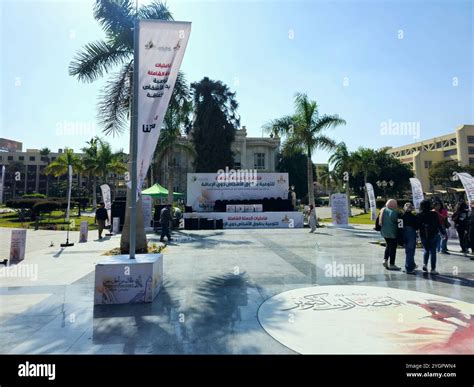Cairo Egypt October 28 2024 Translation Activities Of Comprehensive