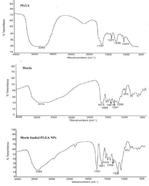 Ftir Spectra Of Plga Morin And Morin Loaded Plga Nps Download