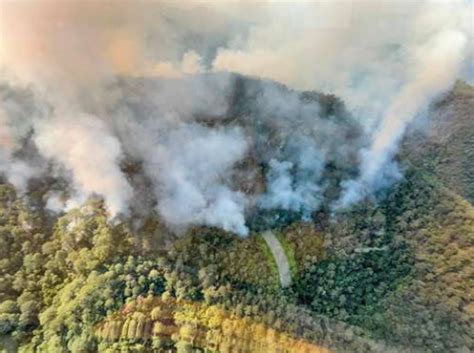 La Jornada Afecta Incendio Forestal 800 Hectáreas En Santiago Nl