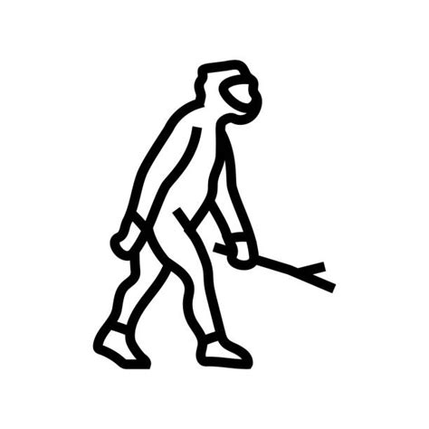 110 Australopithecus Illustrations Royalty Free Vector Graphics