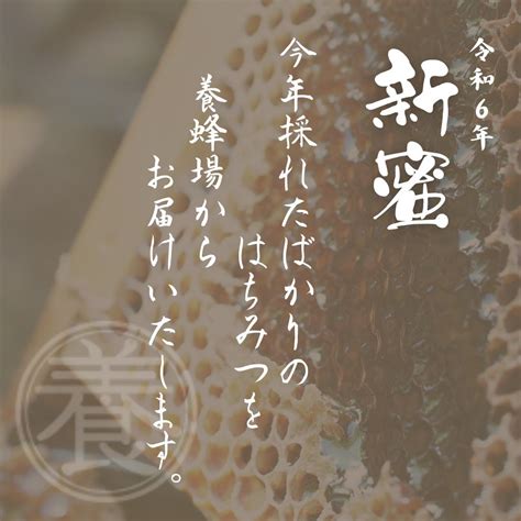 【楽天市場】【2025年新蜜】国産 生はちみつ 無添加 はちみつ 抗生物質不使用 百花蜜 200g 500g ボトル 非加熱 蜂蜜