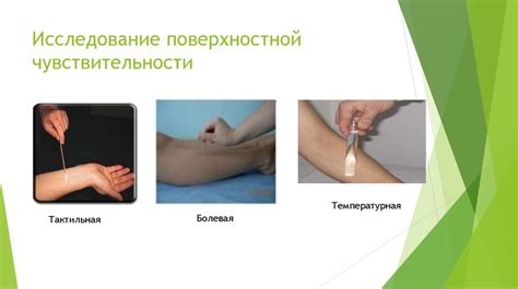 Исследование чувствительности - презентация онлайн