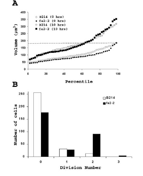 Cell Size Distribution Of Synchronized Cells And Multiple Fission Of