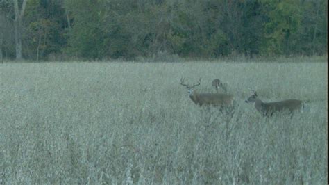 The Patterning Process Part II An Official Journal Of The NRA