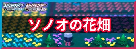 【ポケモンbdsp】ソノオの花畑のイベントと入手アイテム【ダイパリメイク】 Appmedia