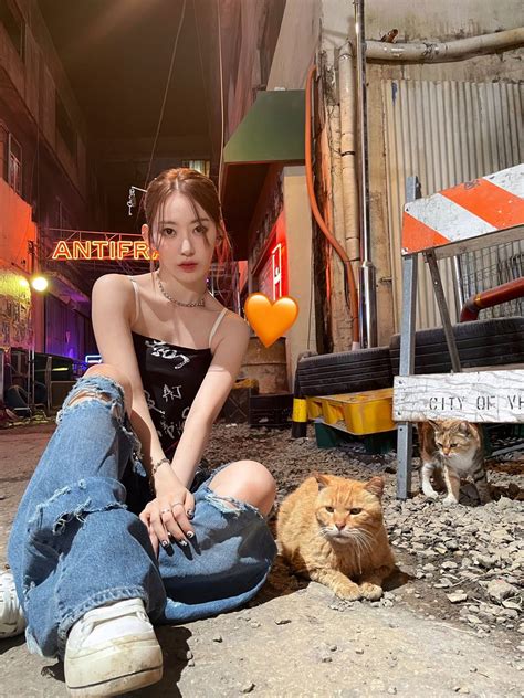 SLOW ALLSAKURATHAILAND on Twitter RT animalkorea 르세라핌 사쿠라 님의