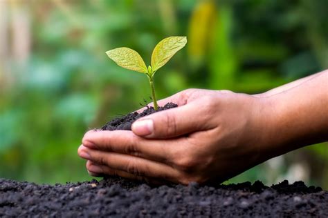Réchauffement climatique Comment les Français repensent leur mode de