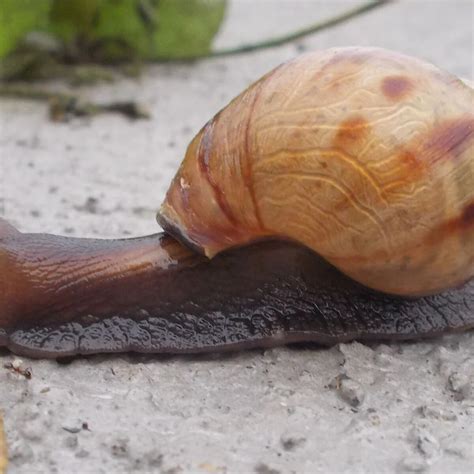 Centennials Y Millennials Cortan El Cable Y Cambian La Forma De Ver