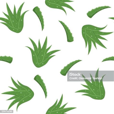 無縫模式與蘆薈藥用植物切葉隔離在白色背景卡通風格任何設計的向量插圖向量圖形及更多一片圖片 一片 健保和醫療 健康飲食 Istock