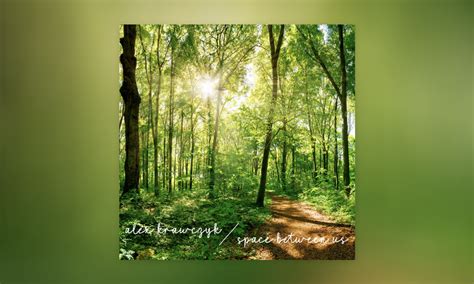 Alex Krawczyk Harmonizing Distance With Space Between Us Disrupt