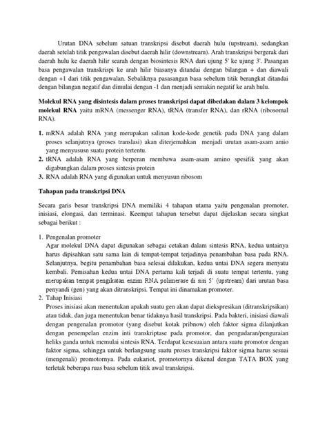 Tahapan Pada Transkripsi Dna Pdf