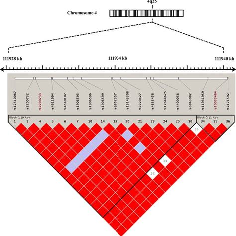 Pairwise Linkage Disequilibrium Ld Pattern Of Snps On Chromosome 4q25