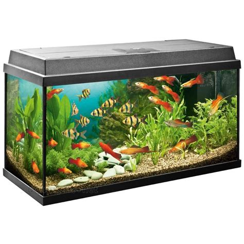 Aquarium Test Vergleich 2025 ᐅ TÜV zertifiziert