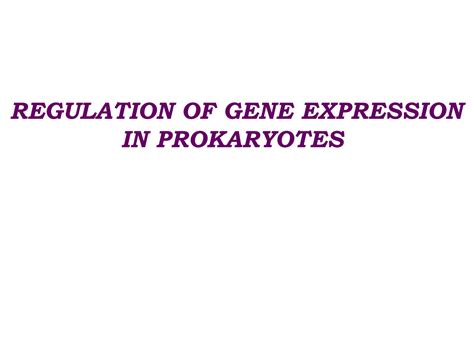 SOLUTION Regulation Of Gene Expression Prokaryotes Studypool
