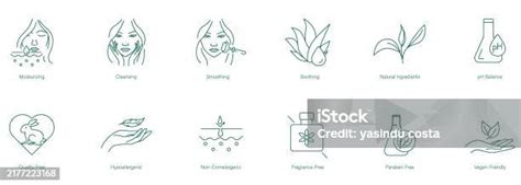 보습 클렌징 스무딩 진정 천연 성분 Ph 밸런스 크루얼티프리 저자극성 논코메도제닉 무향 파라벤 프리 비건 프렌들리 아이콘 세트 각질제거에 대한 스톡 벡터 아트 및 기타