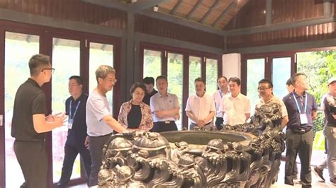 欧美同学会第九届年会嘉宾代表到保亭考察欧美同学会
