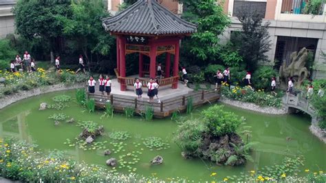 成都墨池书院小学高新区学校第5页大山谷图库