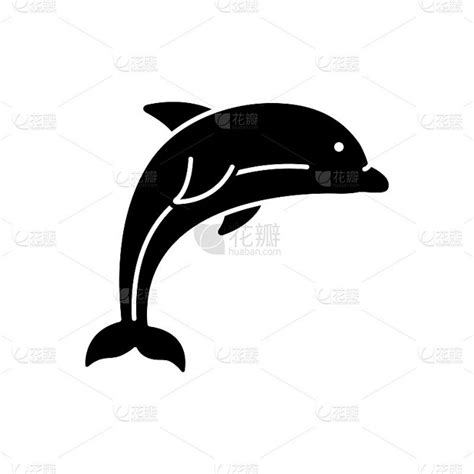 海豚生物声纳