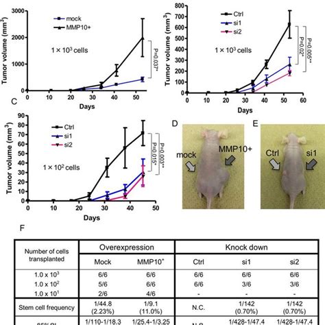 Immunohistochemical Staining Of Clinical Samples And Statistical