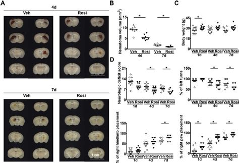 Administration Of Rosiglitazone Accelerates Hematoma Resolution And