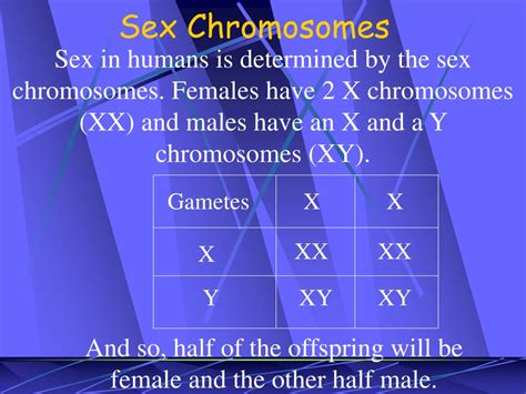 PPT INHERITANCE PowerPoint Presentation Free Download ID 330543