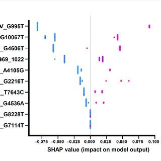 Beeswarm Plot Of The ML Model Using SHAP Explainer Beeswarm Plot
