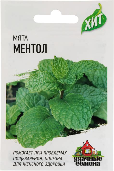 Мята ментол купить по цене 50 ₽ в интернет-магазине Магнит Маркет