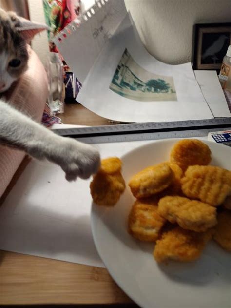 Chicken Nugget Thief Blank Template Imgflip