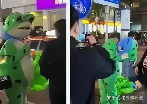 幸好被追的是网红青蛙，要是网红老虎，你猜会发生什么？ 知乎