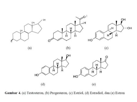 Chemistry Education Keanekaragaman Struktur Kimia Steroid