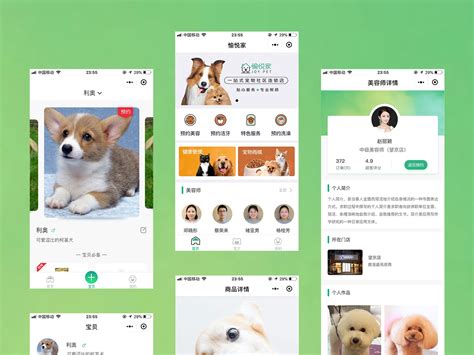 宠物店小程序z99204198 站酷zcool