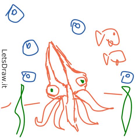 How To Draw Squid Krk8btiii Png LetsDrawIt