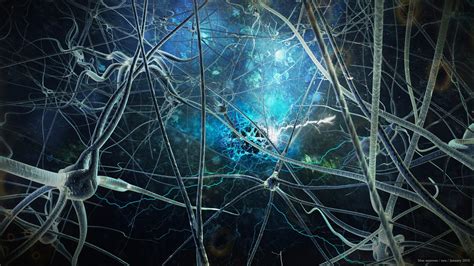 Neuroscience Wallpapers Wallpaper Cave