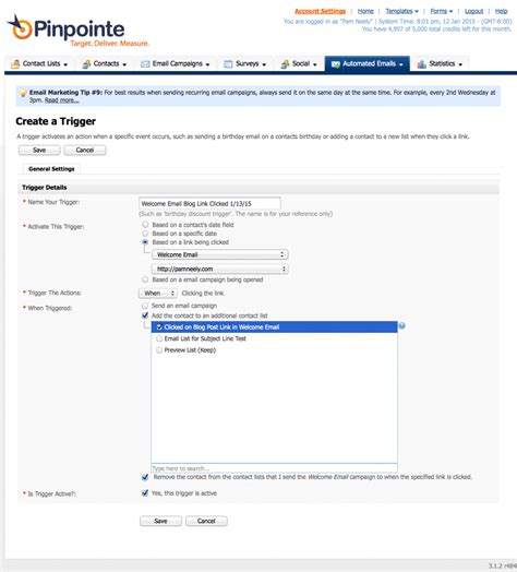 powerful personal automated how to use triggered emails pinpointe
