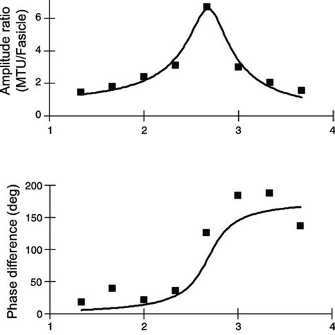 Schemata Of The Experiment And Muscle Tendon Unit Mtu Model A